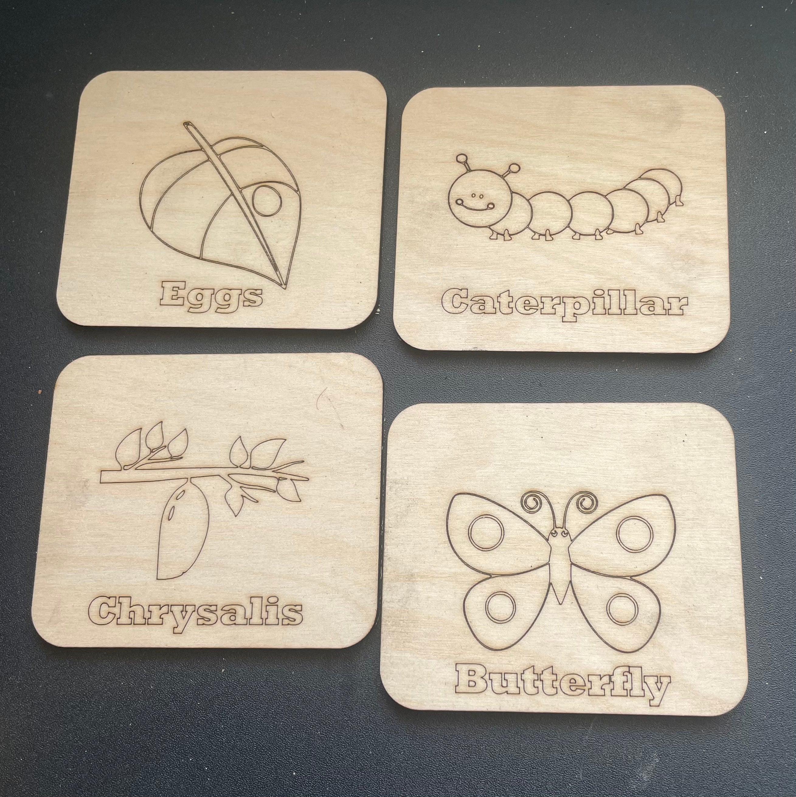 Life Cycle Flash Cards – Whimsical Wooden Boutique